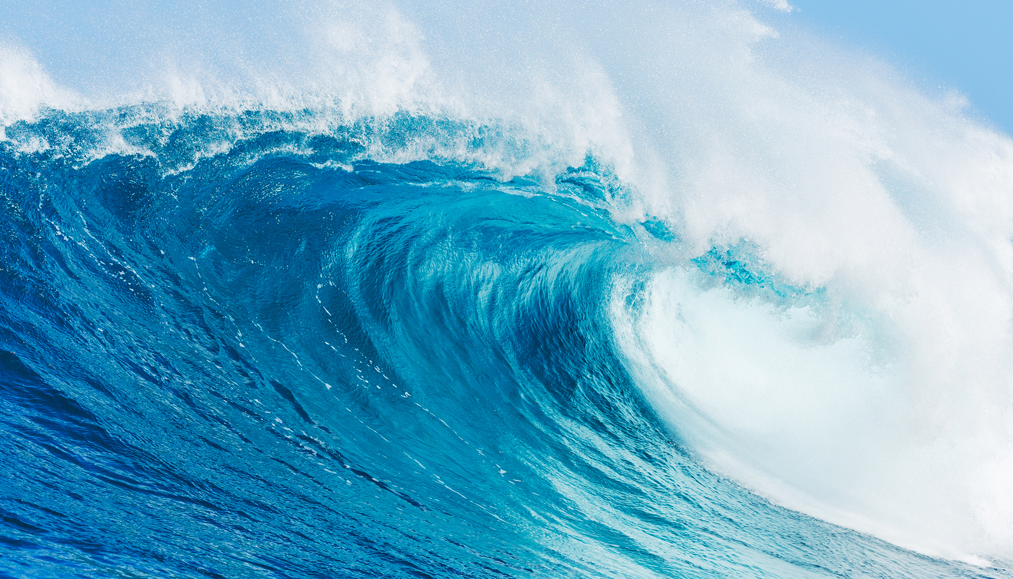 The Blue Wave became a Pink Wave in 2025 - WomenCount